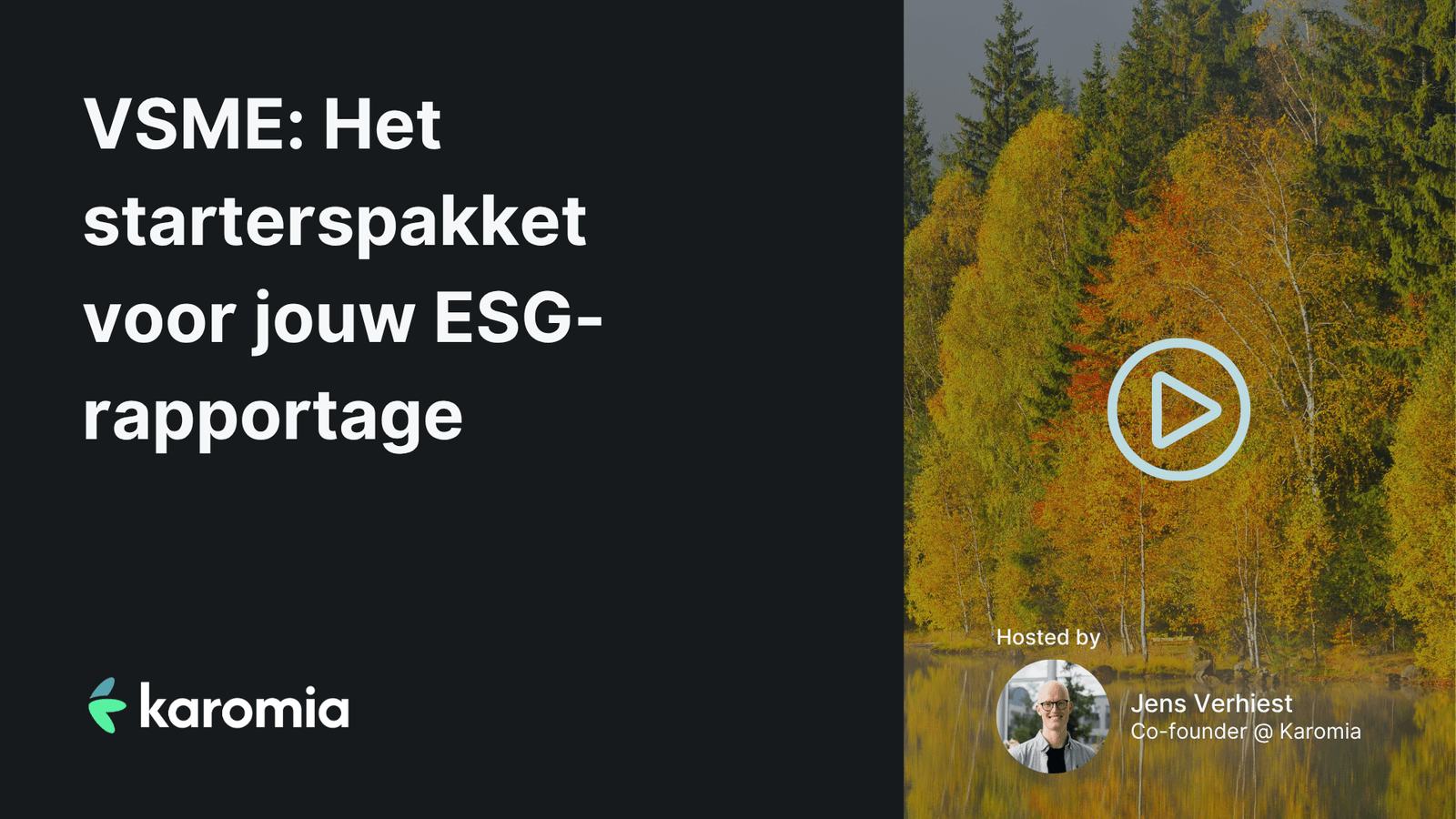 VSME Standard Guide & Reporting Tips | Karomia